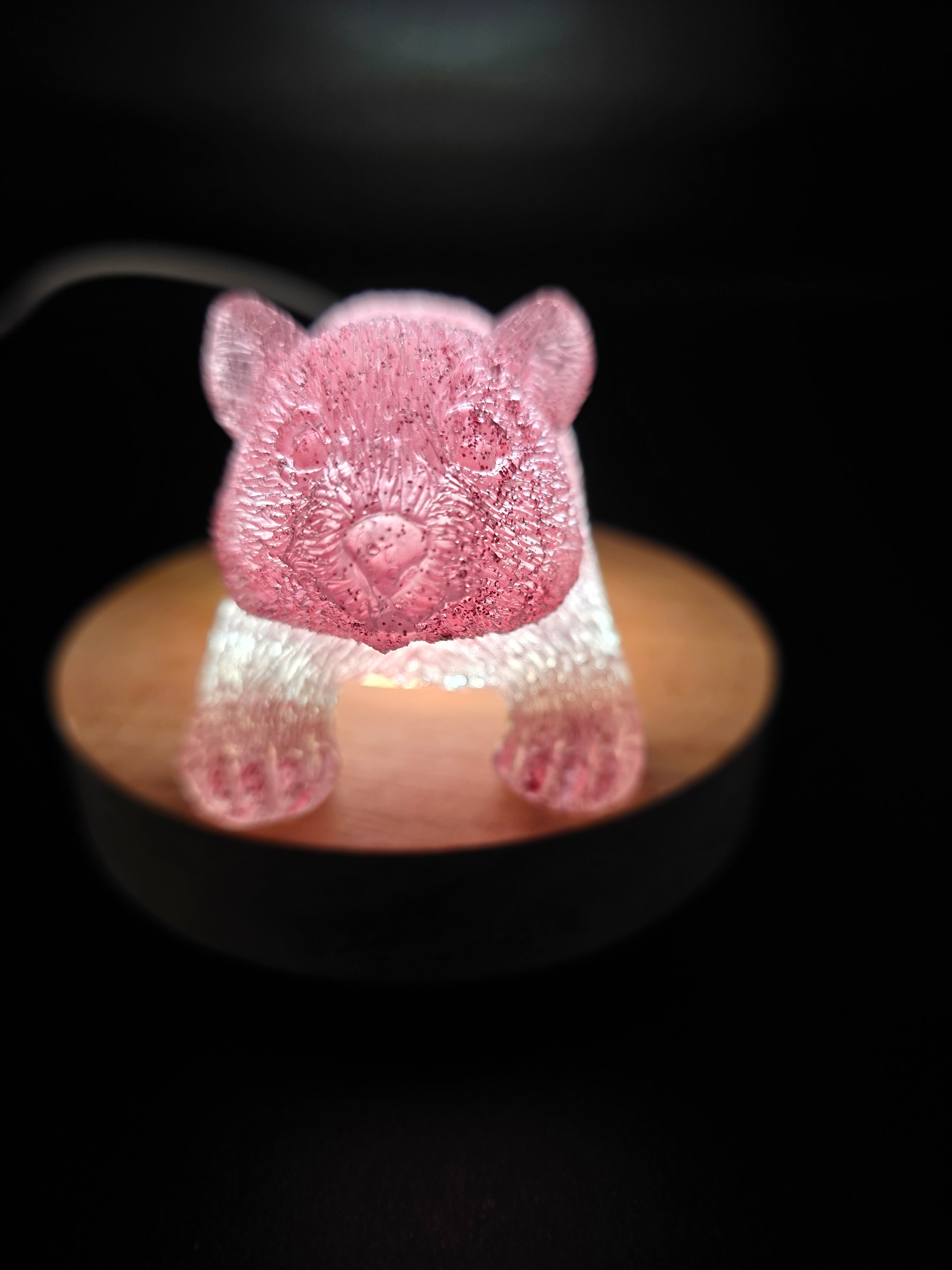 🐾 Resin Wombats – Single or Night-Light Combo 🐾 – Wombat Wisdom